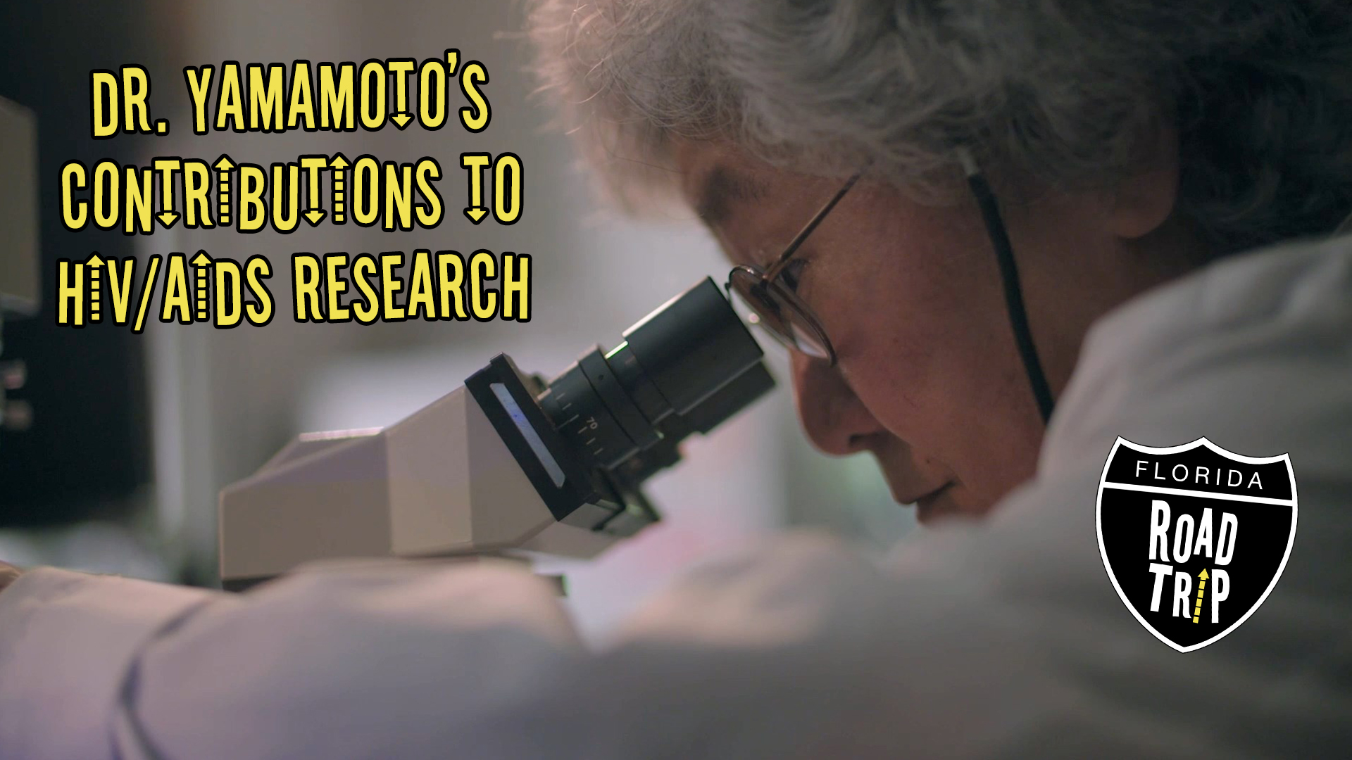 Dr. Yamamoto’s passion shines at the University of Florida College of ...