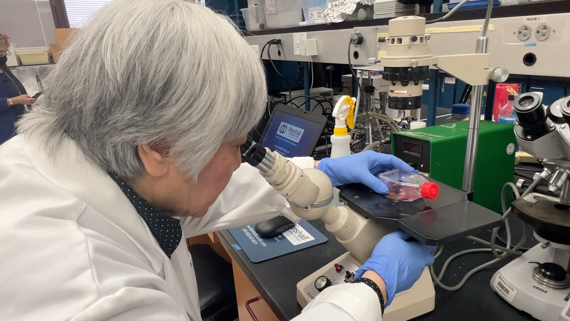 Dr. Yamamoto’s passion shines at the University of Florida College of ...