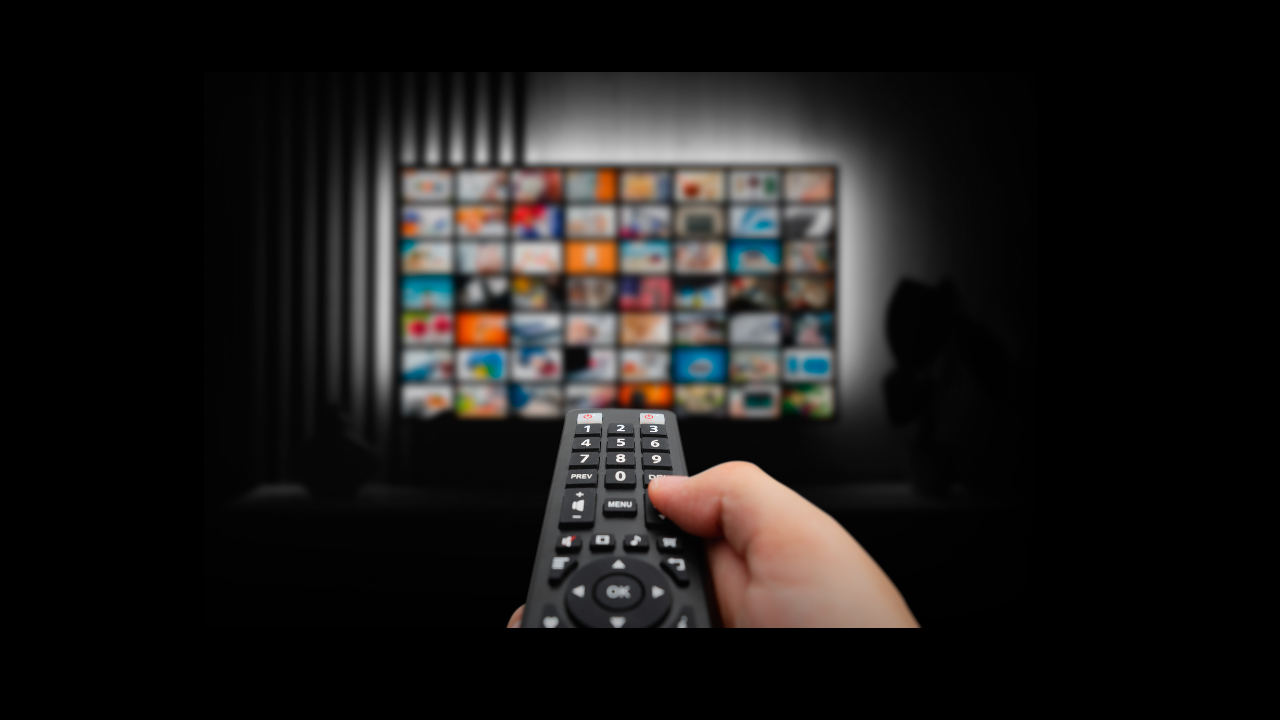Idaho Public Television Schedule