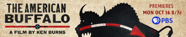 American Buffalo