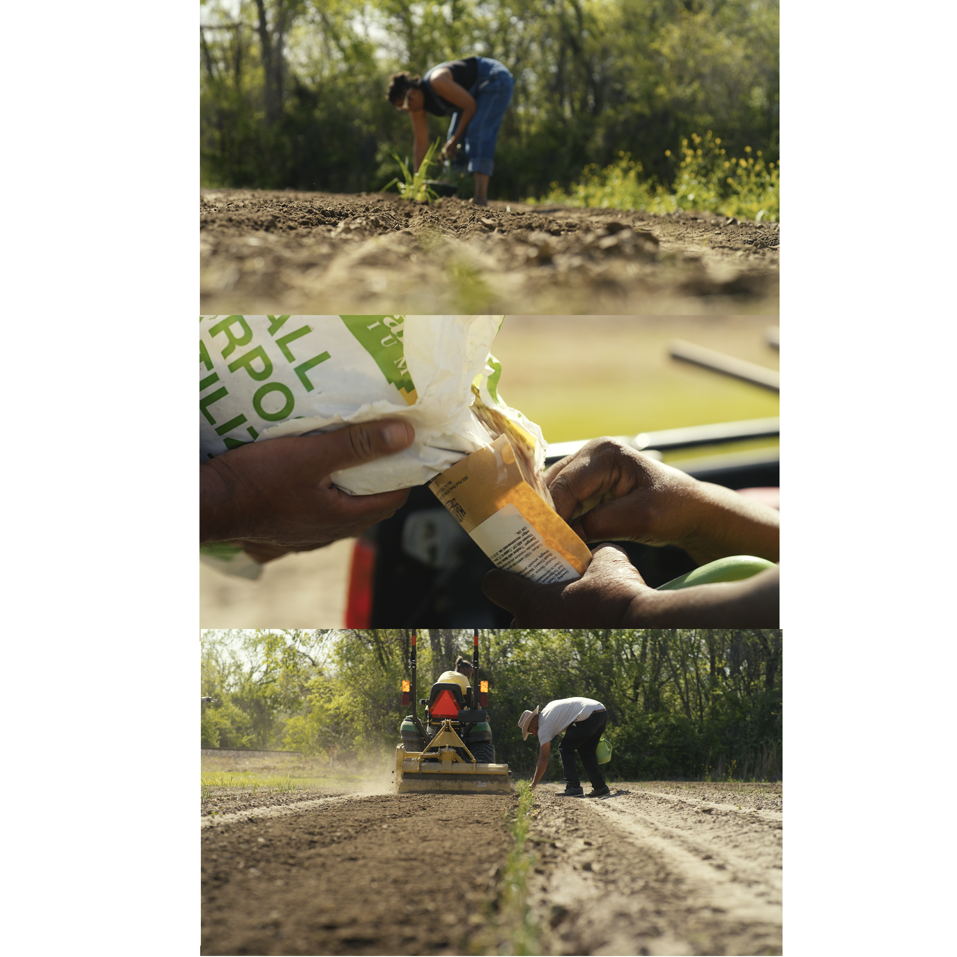 New Documentary Unveils the Life and Legacy of “The Potato King of the ...