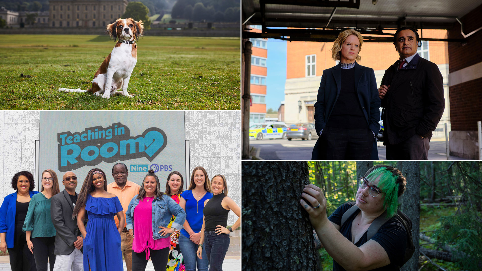 Fall Schedule and Updates