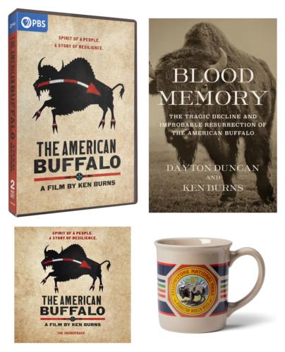 The American Buffalo | A Film by Ken Burns