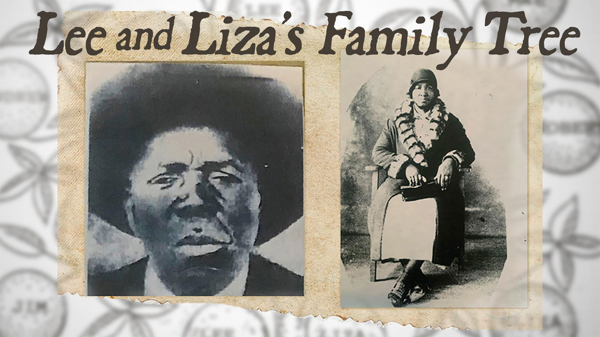 Nova: Lee and Liza's Family Tree