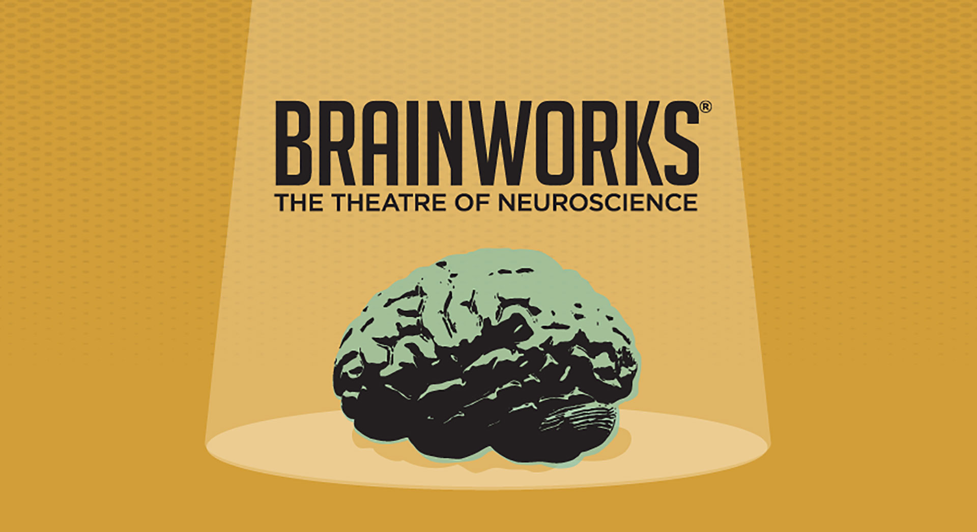 BRAINWORKS: THE THEATRE OF NEUROSCIENCE