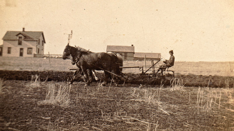Women Behind The Plow