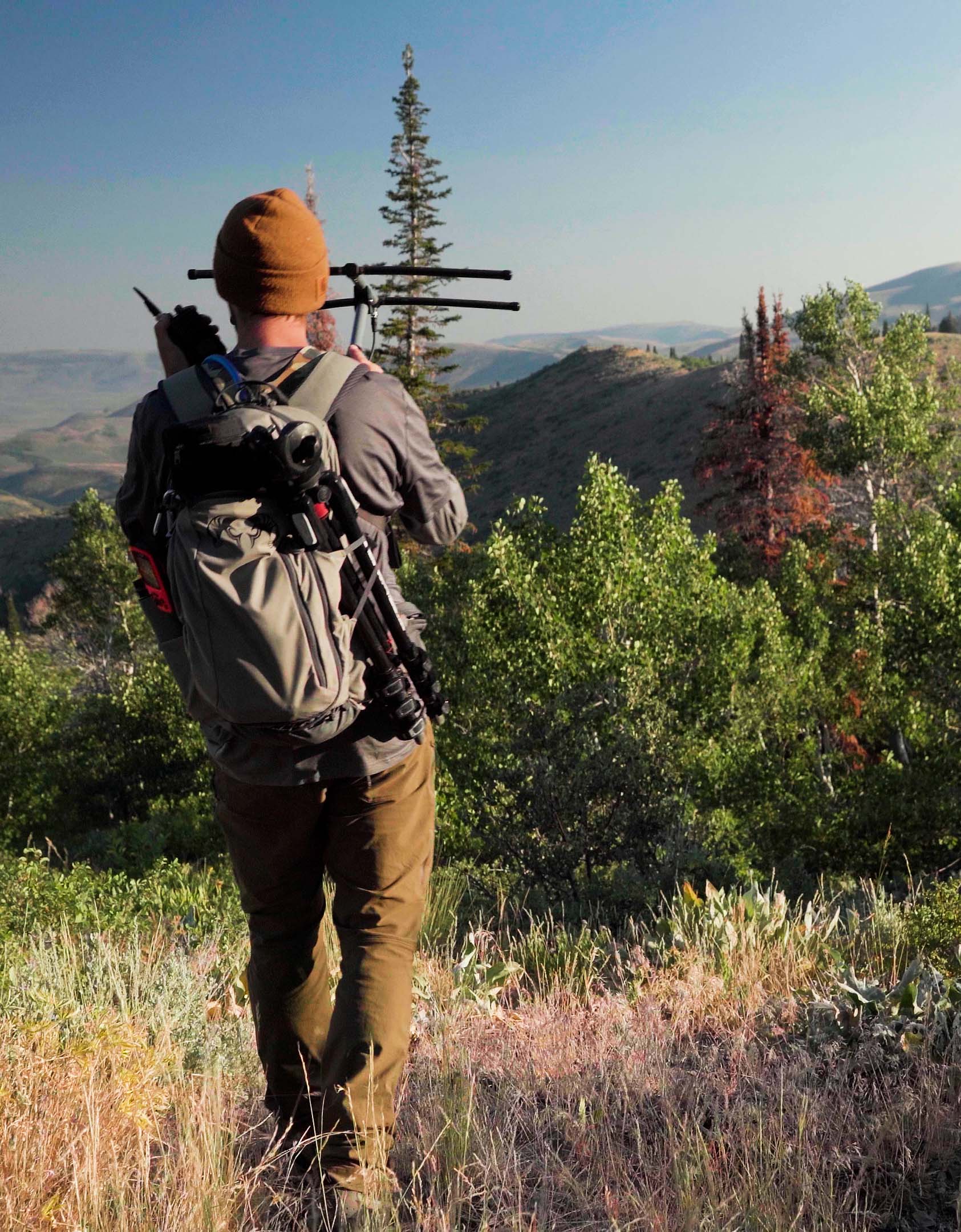 See the State’s Newest Wild Animal: Jarbidge Wilderness