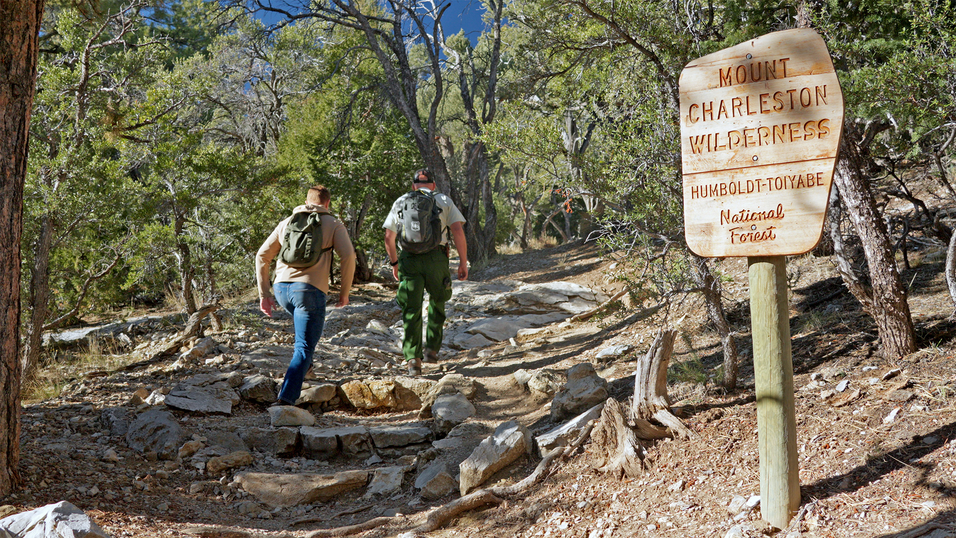 Take a Hike! At Mt. Charleston | Outdoor Nevada