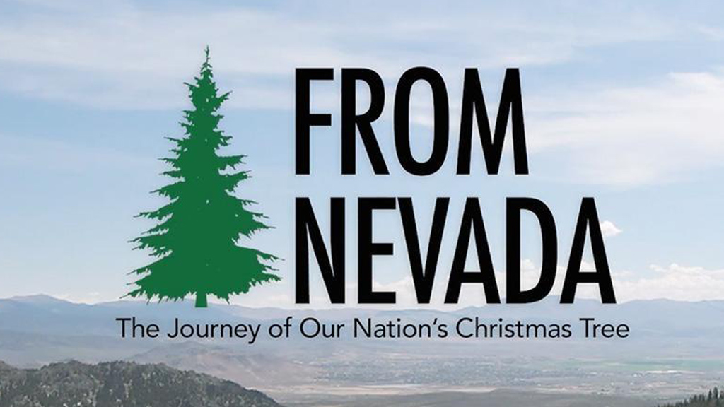 From Nevada The Journey of Our Nation's Christmas Tree