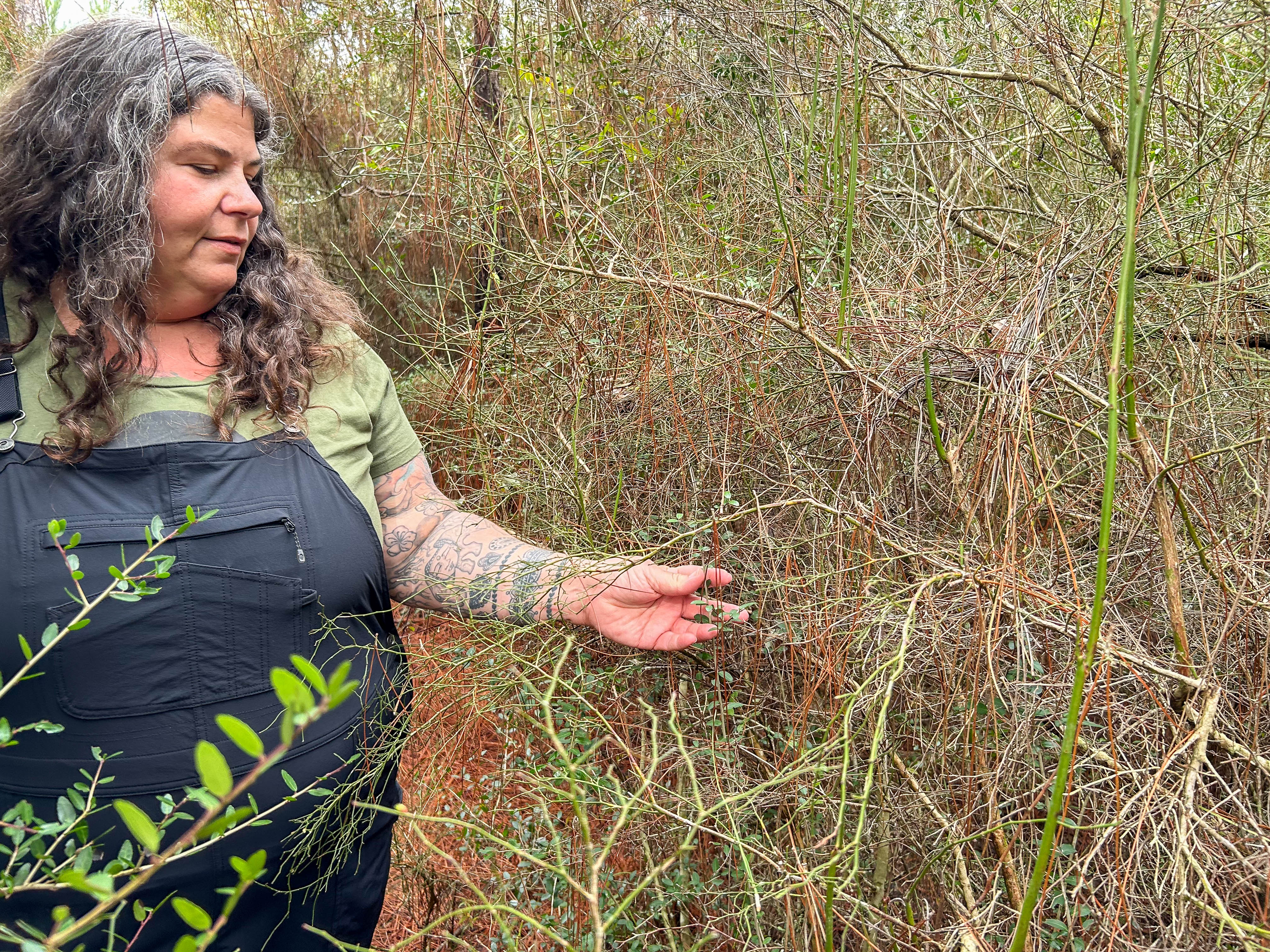 Meet the Alabama woman who is turning her farm into an indigenous food ...