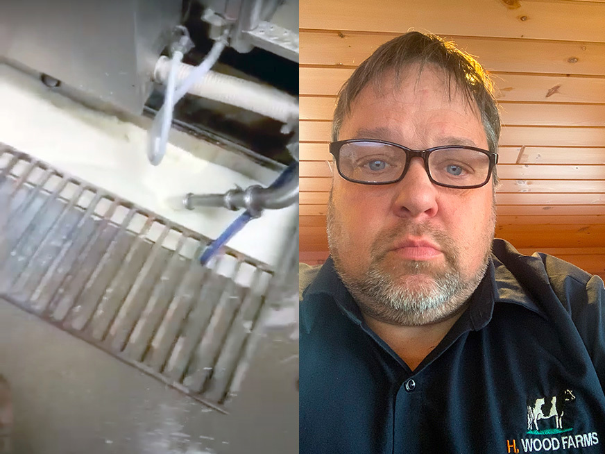 Milk Shelves Are Empty, Yet Dairy Farmers Are Dumping Milk. Here's Why.