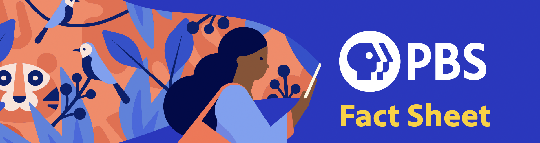 PBS 2025 Fact Sheet