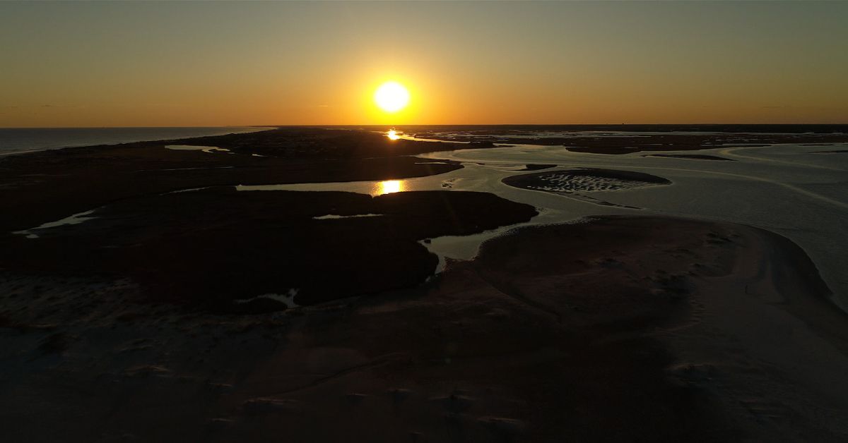 How Estuaries Boost the Economy and Slow Climate Change | PBS North ...
