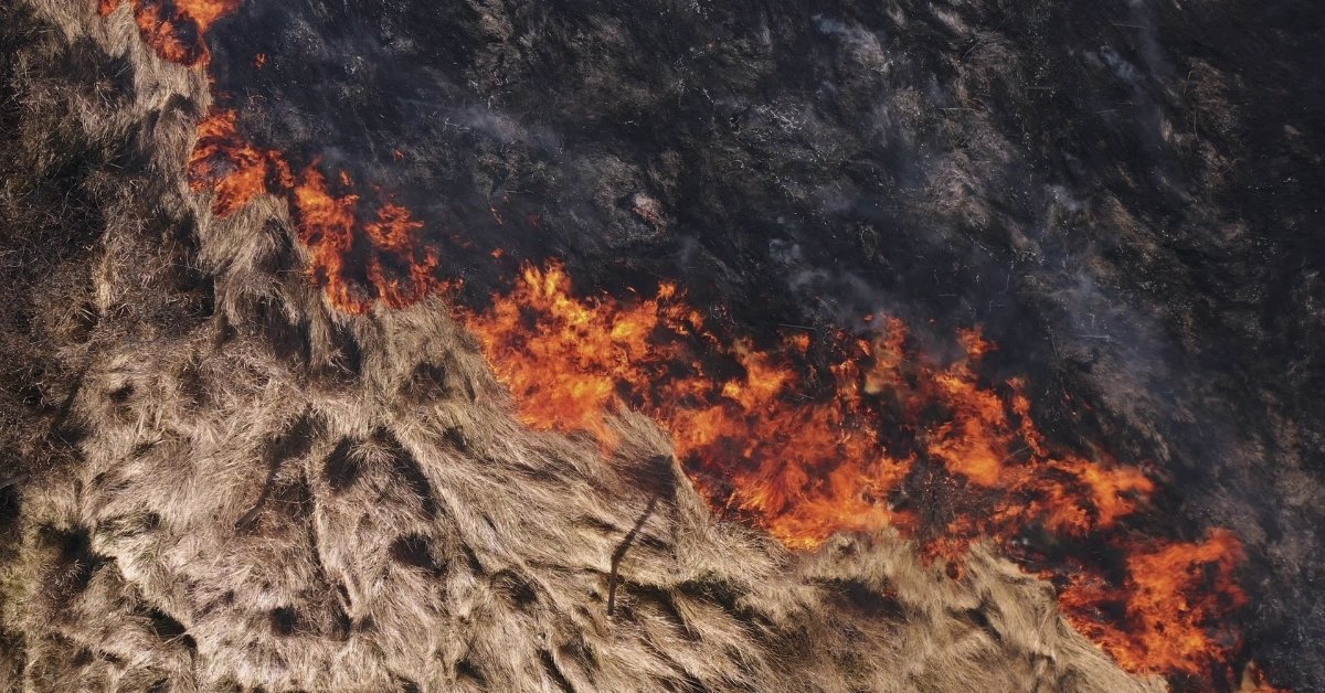 Wildfires Are Common—Here’s Why They’re Getting Worse | PBS North Carolina