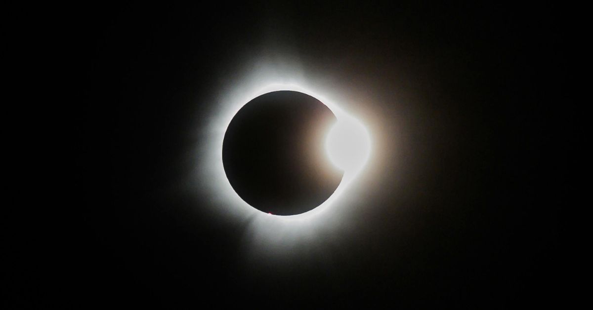 Why Do Animals Get Stressed During Eclipses? | PBS North Carolina