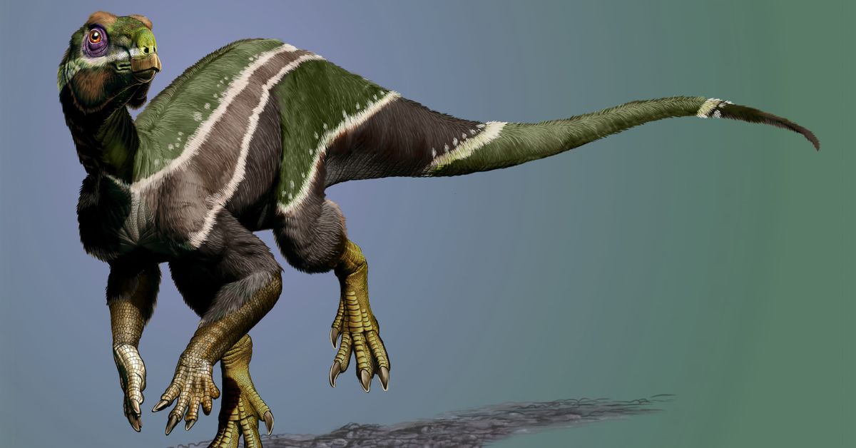 NC State Researcher Discovers New, Unique Plant-Eating Dinosaur | PBS ...