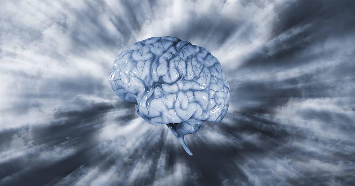 Scientists Explore Connections Between Gut and Brain Health | PBS North ...