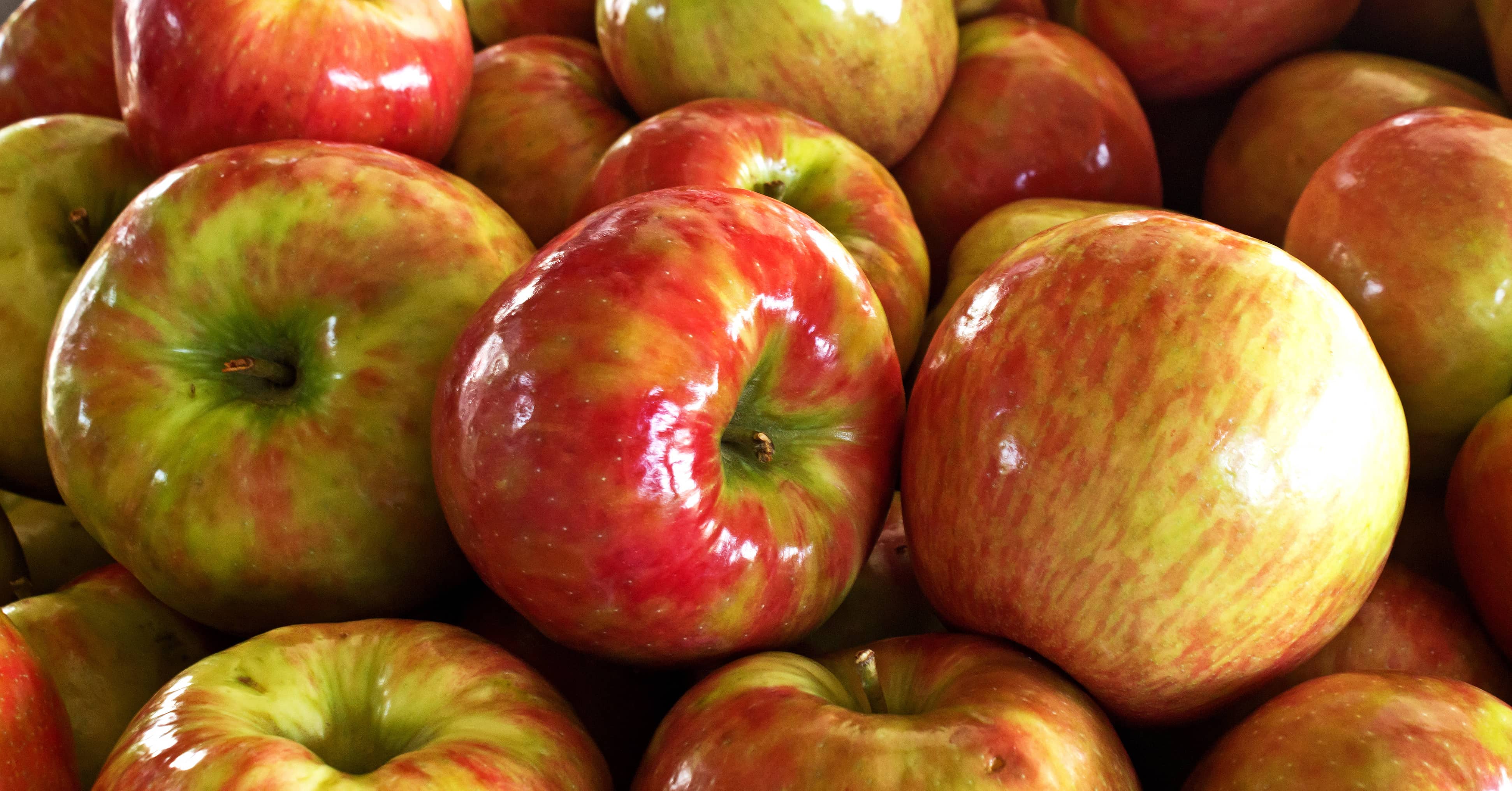 How Apple Trees Preserve and Honor Cherokee Culture | PBS North Carolina