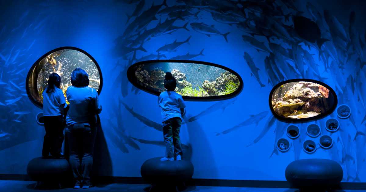 Explore the New NC Science Trail | PBS North Carolina