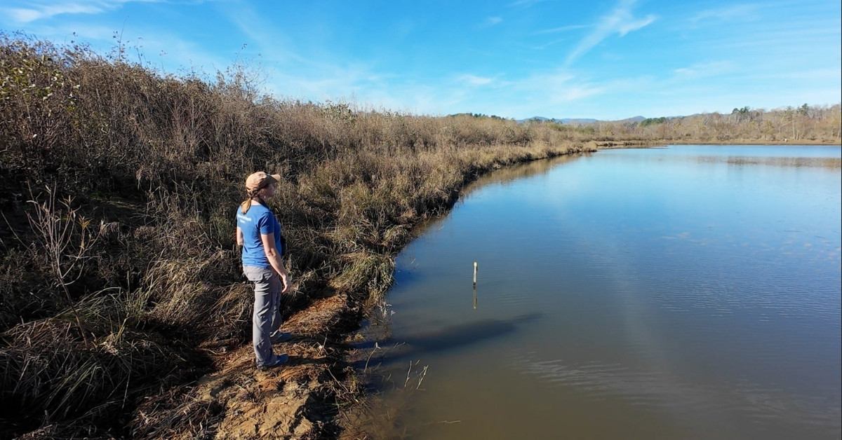 Bringing Back the Floodplain | PBS North Carolina
