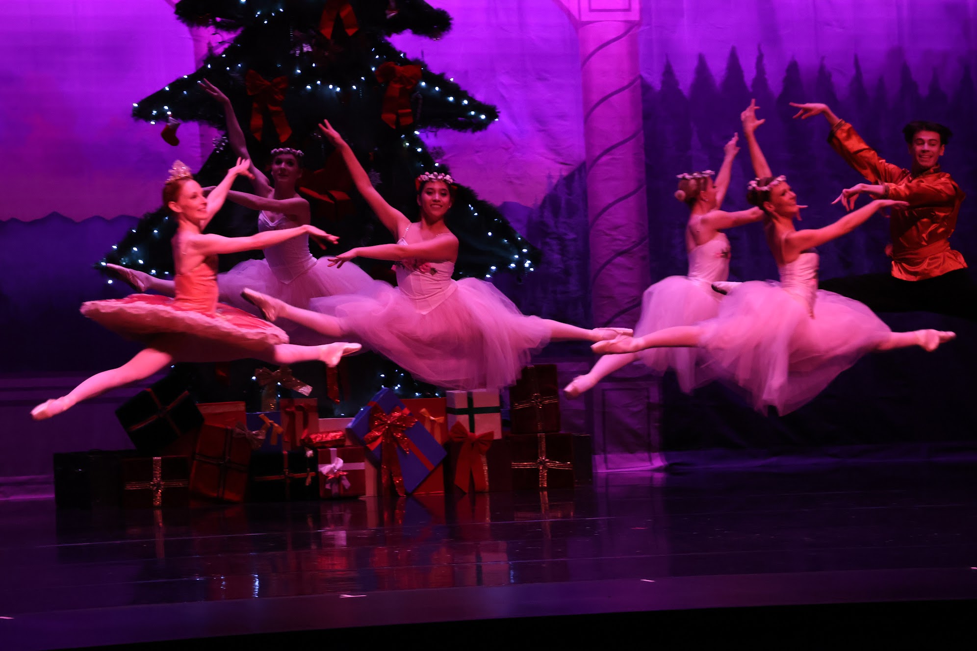 December 15, 2023 | SNB Collaborates with Arts Organizations to create ...