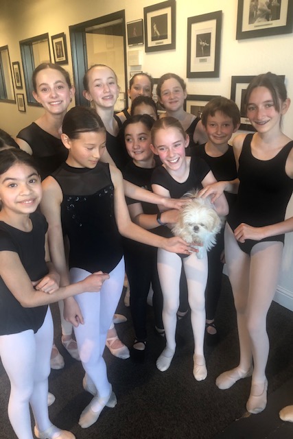 Artviews | Ballet: An Art Form For Our Dogs by Rosine Bena