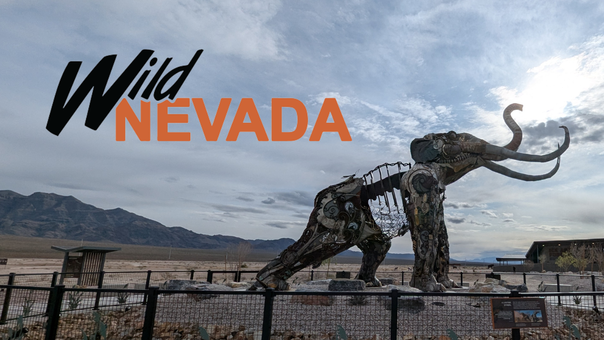 Wild Nevada | Season 8