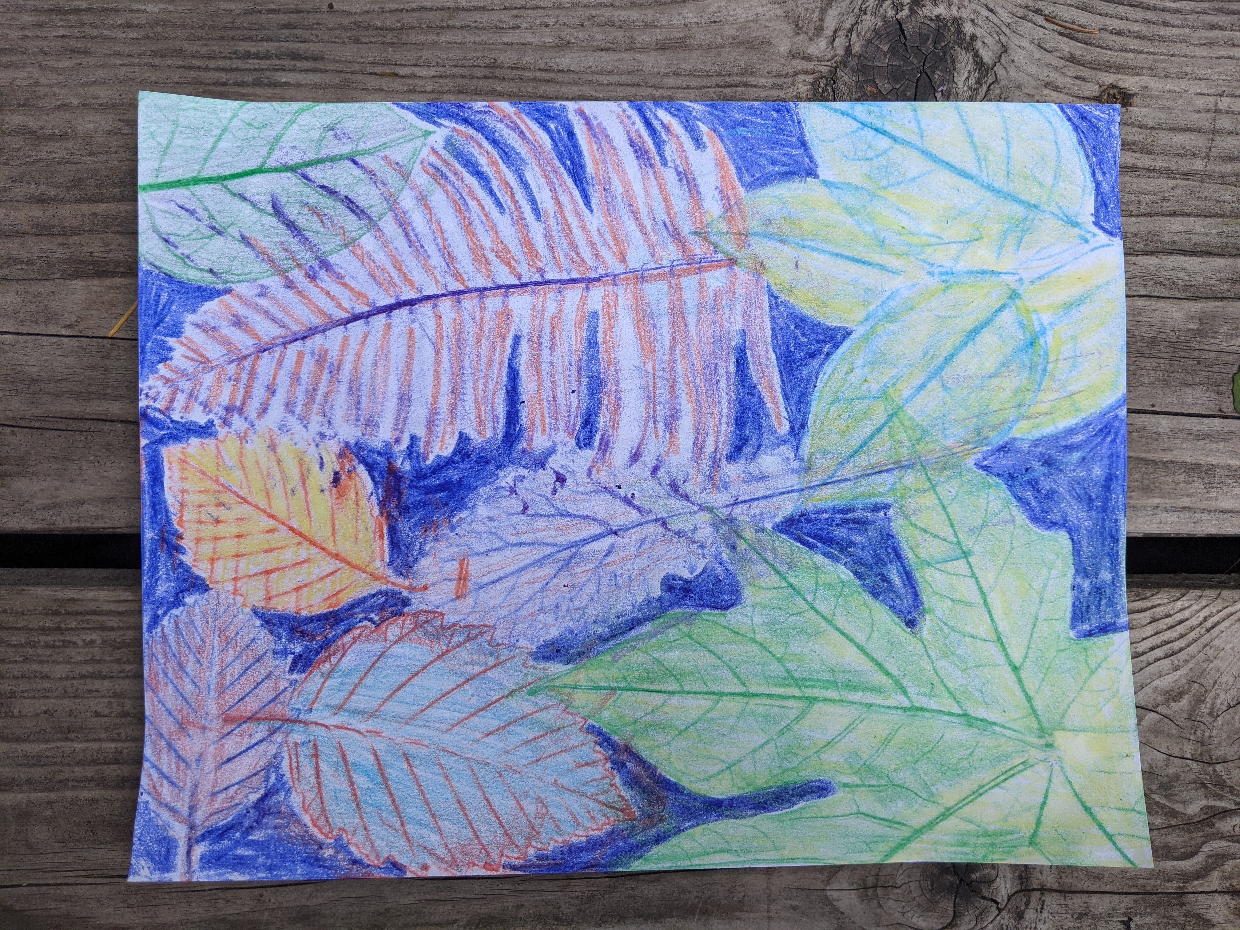 Missy's Leaf Rubbing Craft