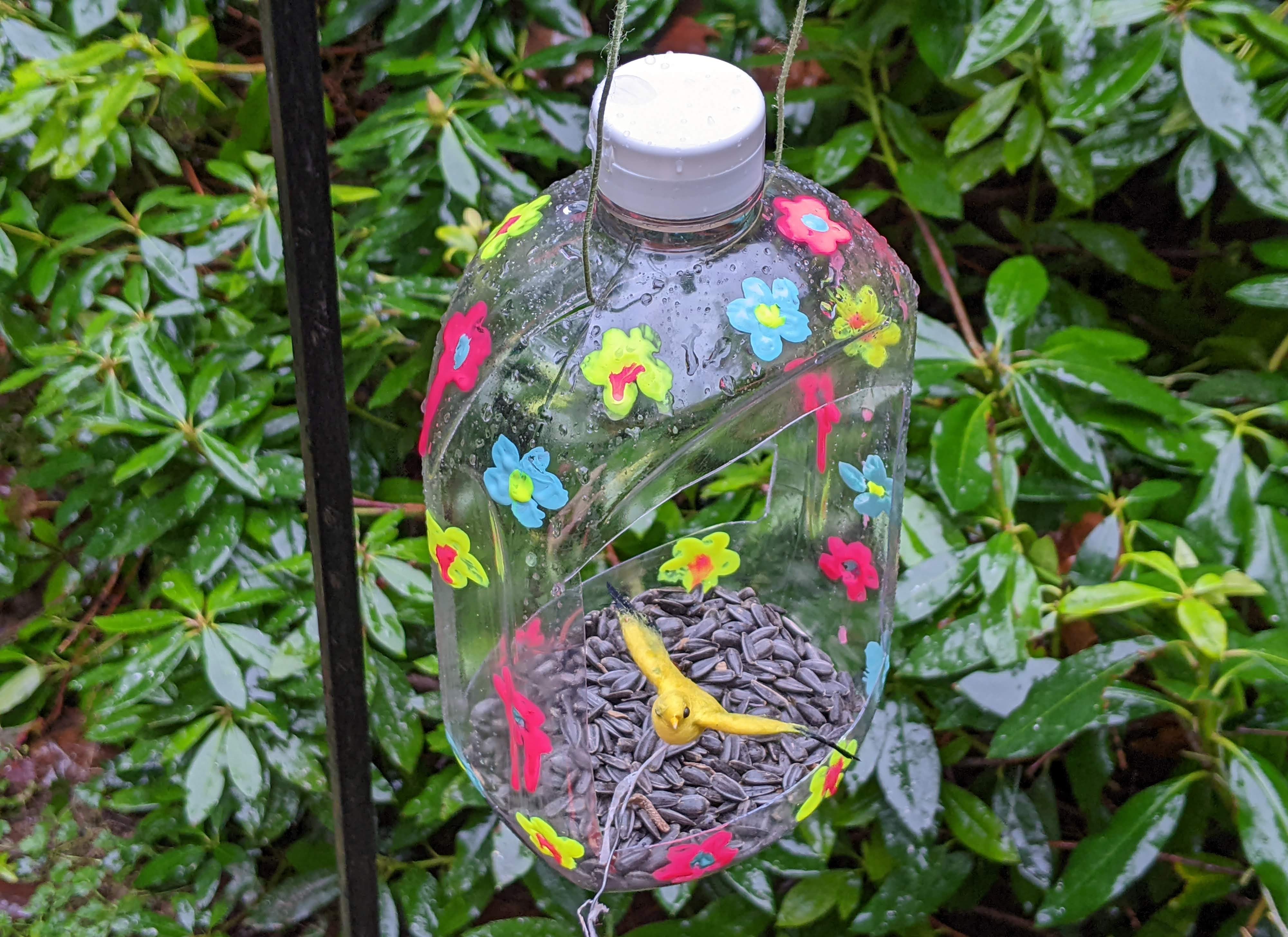 Make a DIY Bird Feeder Using a Recycled Plastic Container