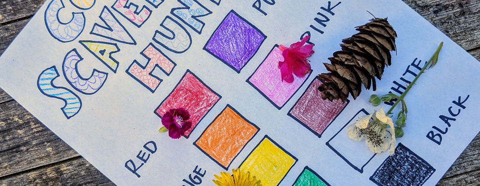 Missy's Color Scavenger hunt