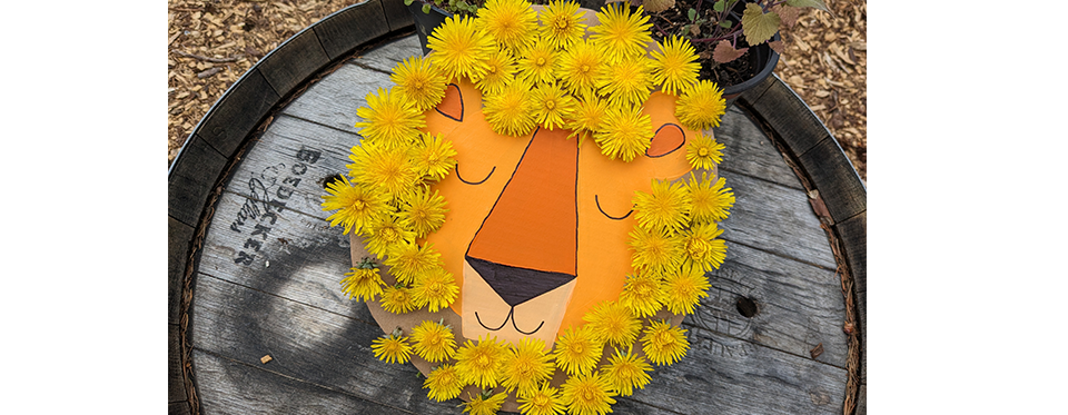 Missy's Dandy Lion