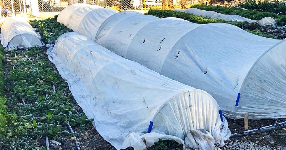 How To Build Hoop Houses