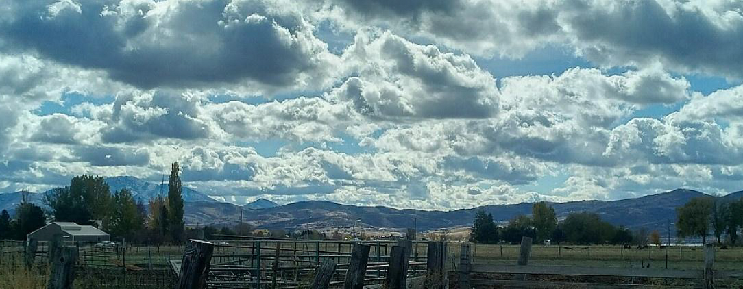 Planting Garlic With A Garlic Master
