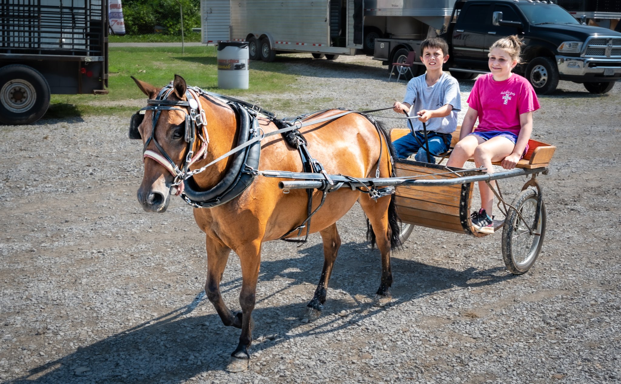 WCTE to Broadcast & Stream Three Live 2022 Putnam County Fair Events