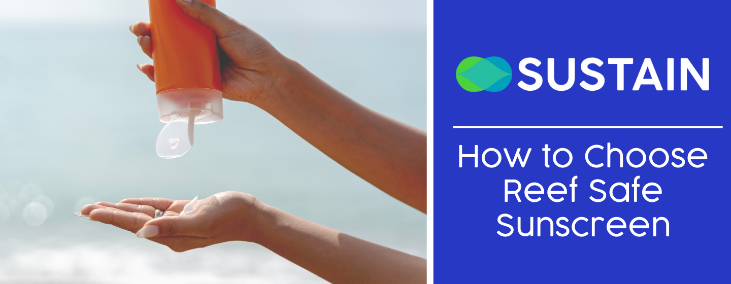 Eco-Friendly Sunscreen | Sustain