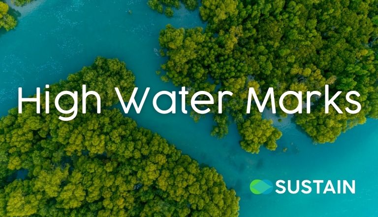 High Water Marks | Digital Series