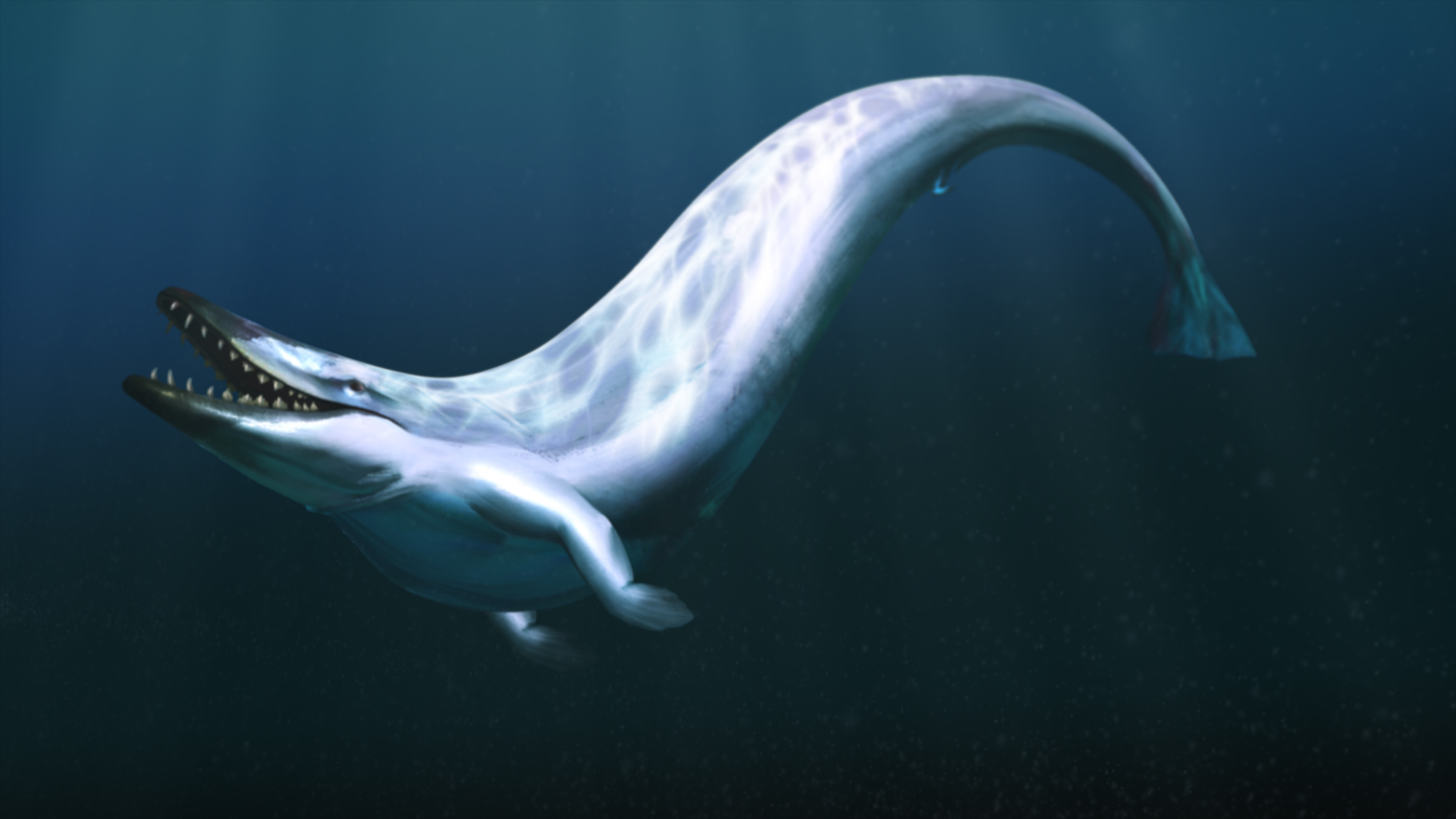Meet the Animals | When Whales Walked