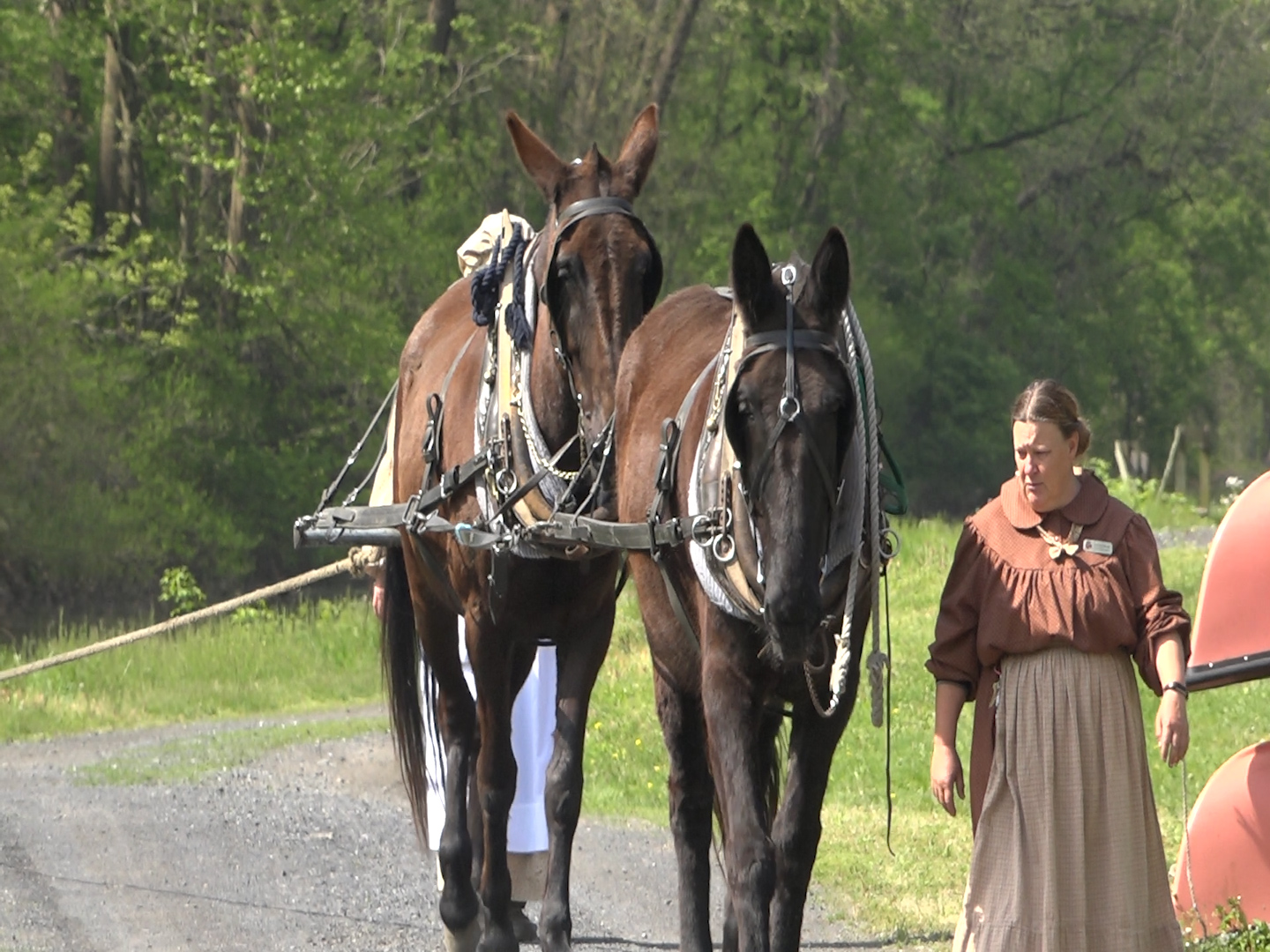 Hank and George Return