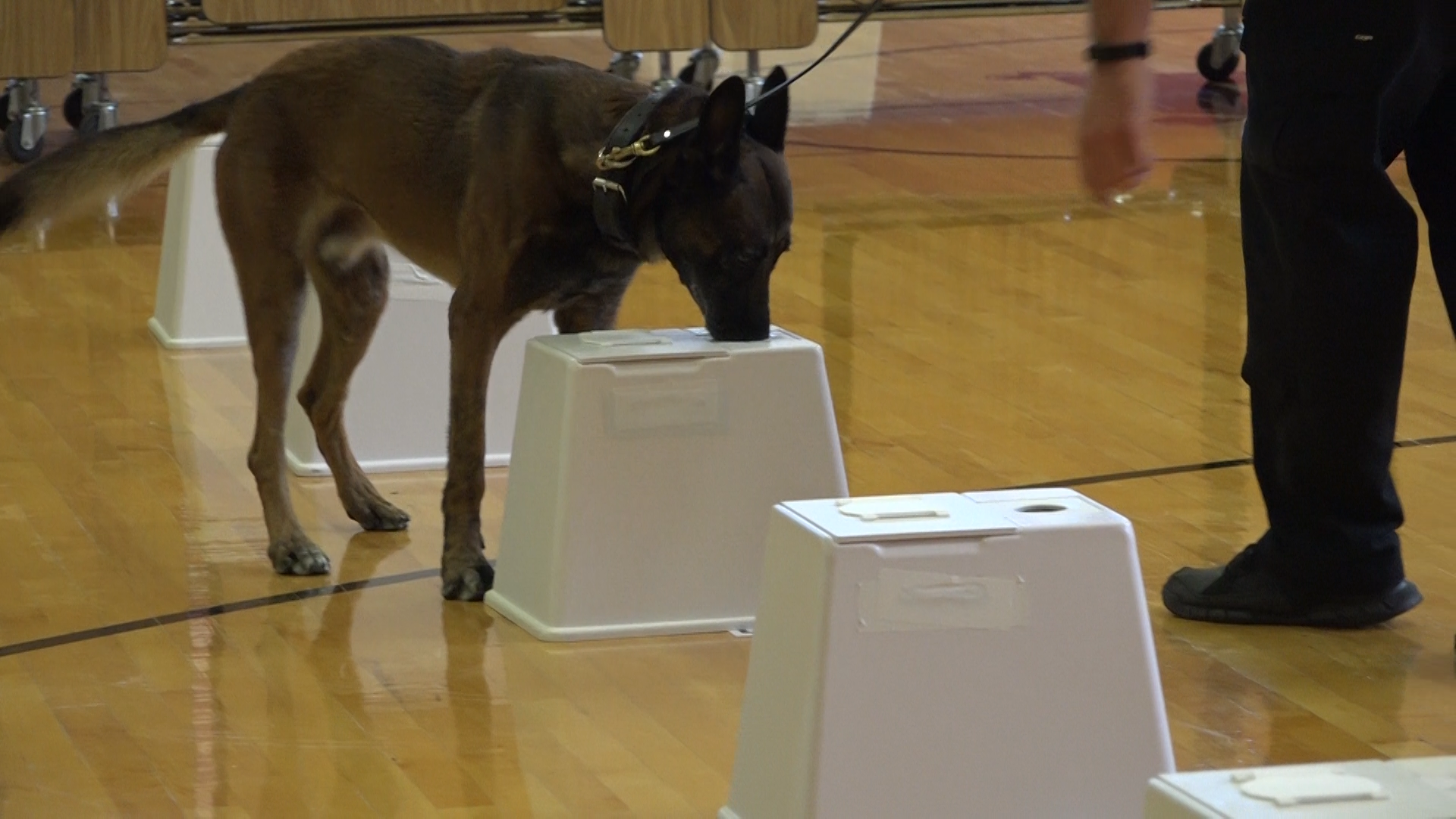 PA Officers Complete K-9 Bomb Squad Training