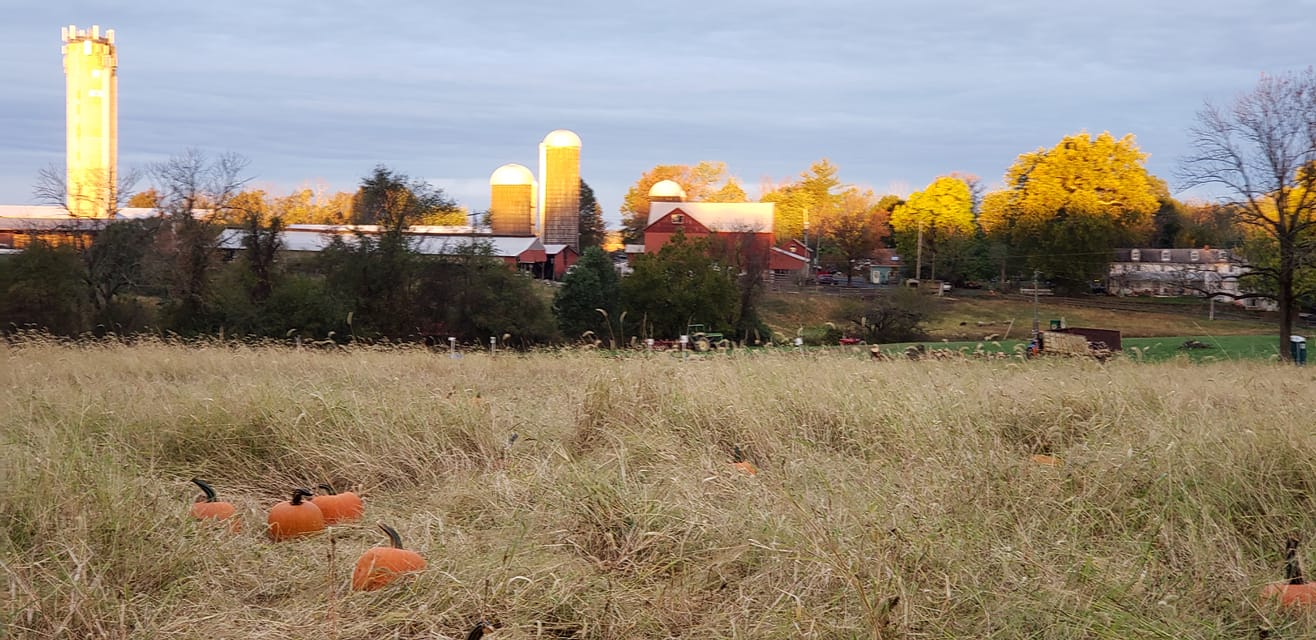Farmers Hopeful About Hosting Fall Attractions