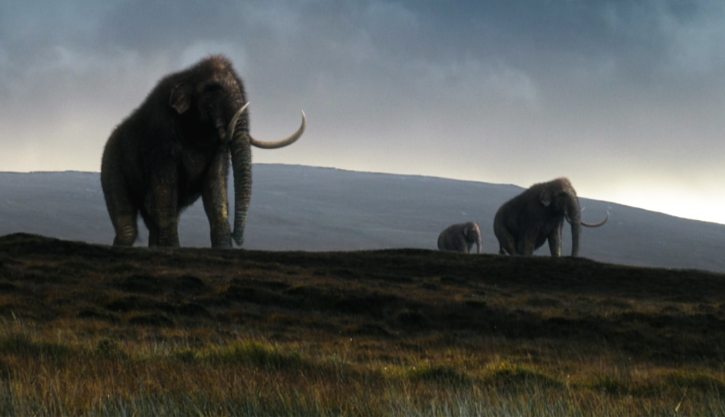 Nova, Great Mammoth Mystery | PBS Western Reserve
