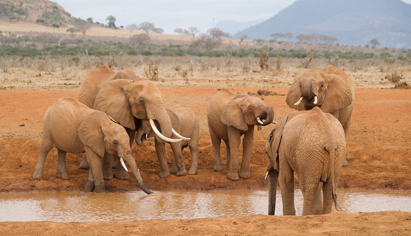 Changing Planet, Season 2 | PBS Western Reserve