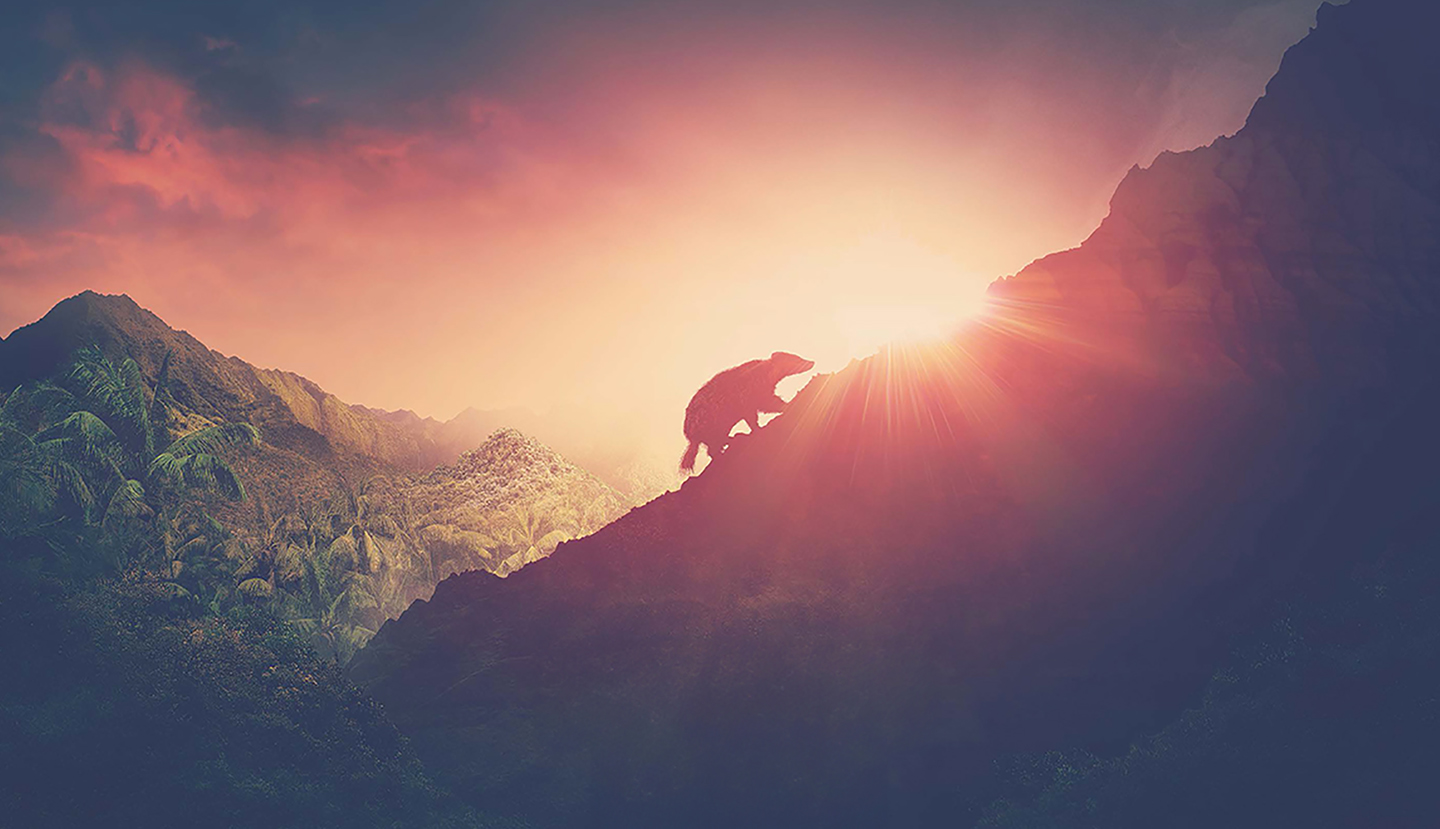 Nova, Rise of the Mammals | PBS Western Reserve