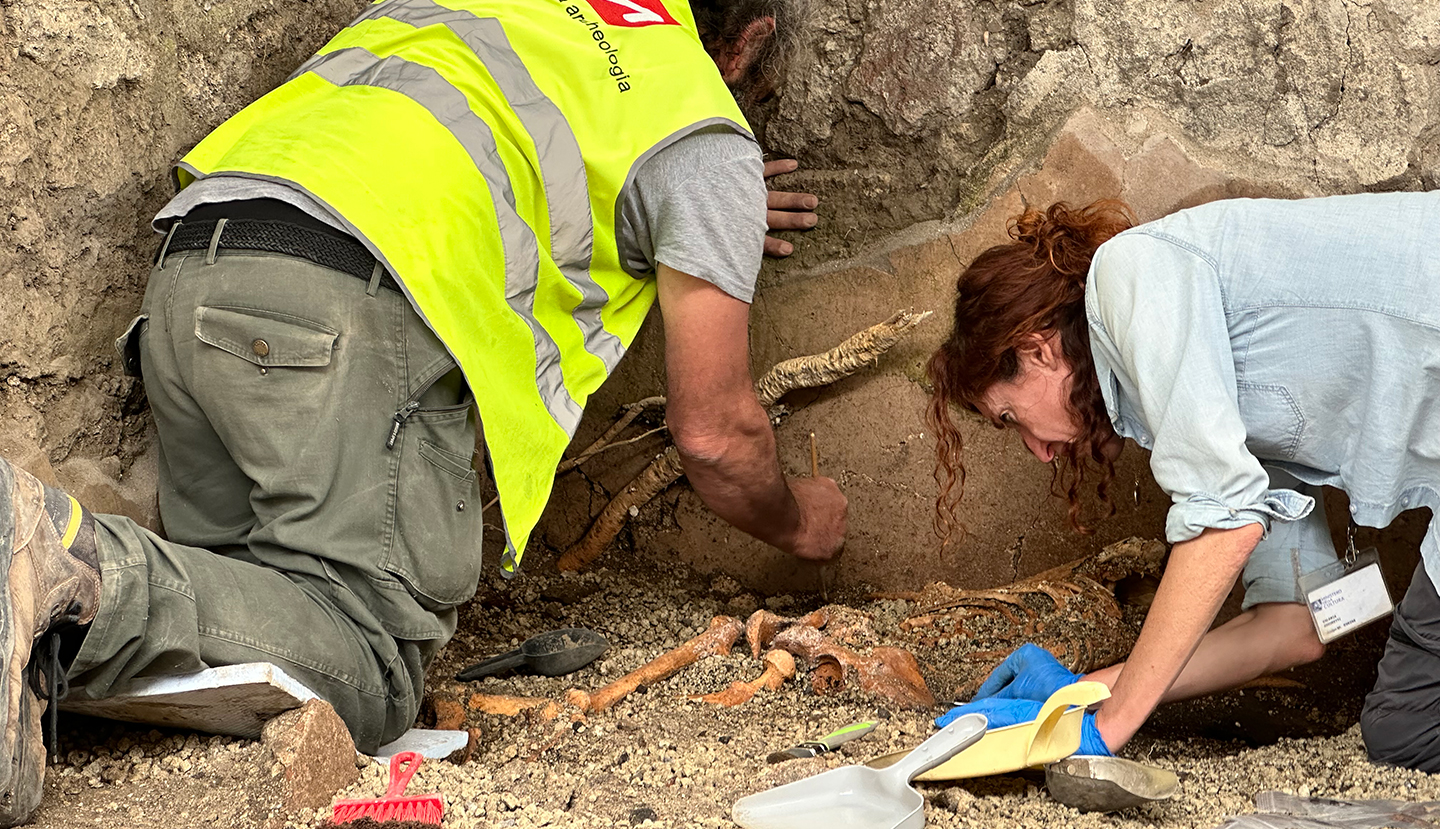 Pompeii: The New Dig | PBS Western Reserve