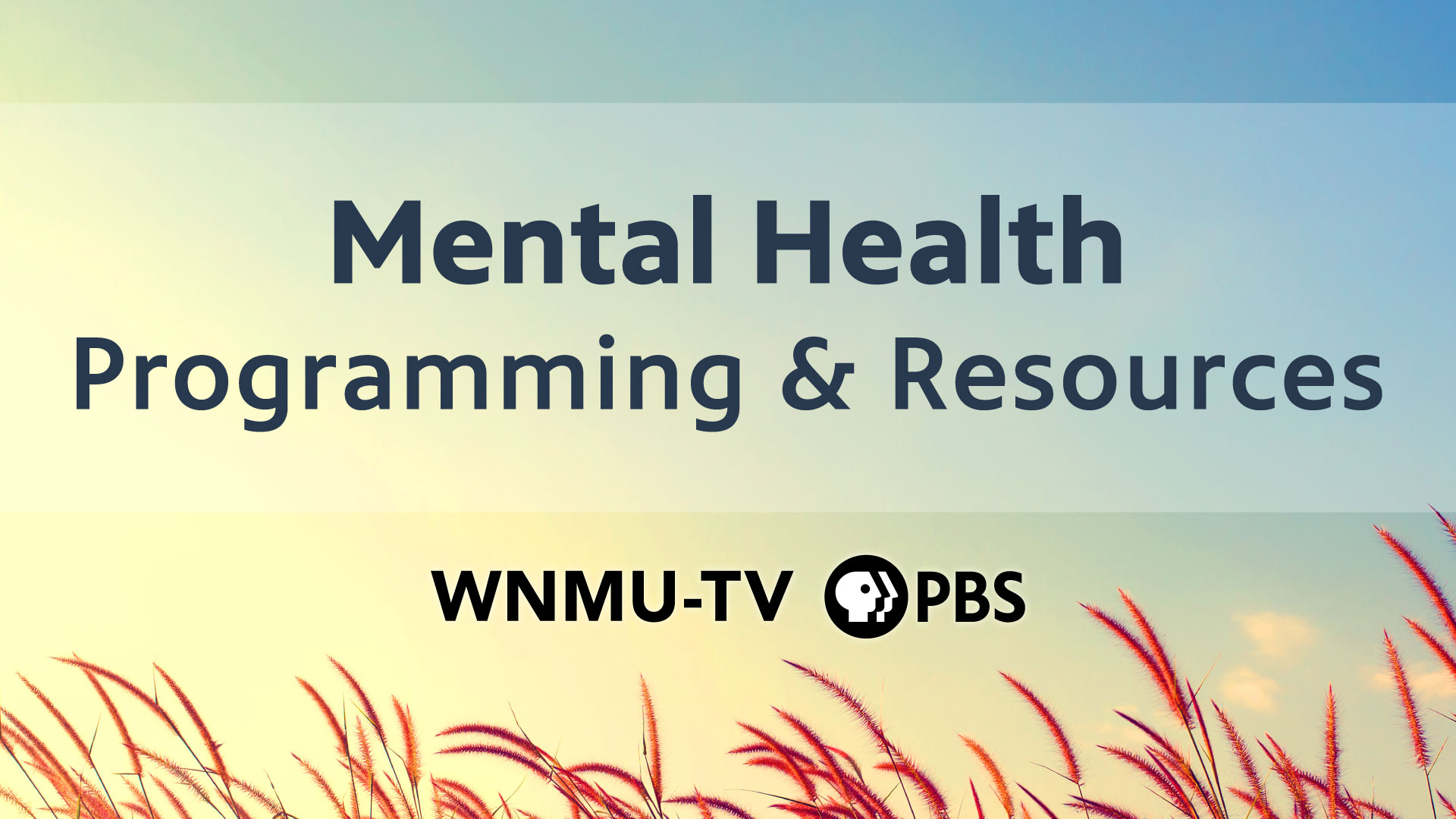 WNMU-TV Community Mental Health Programming and Resources