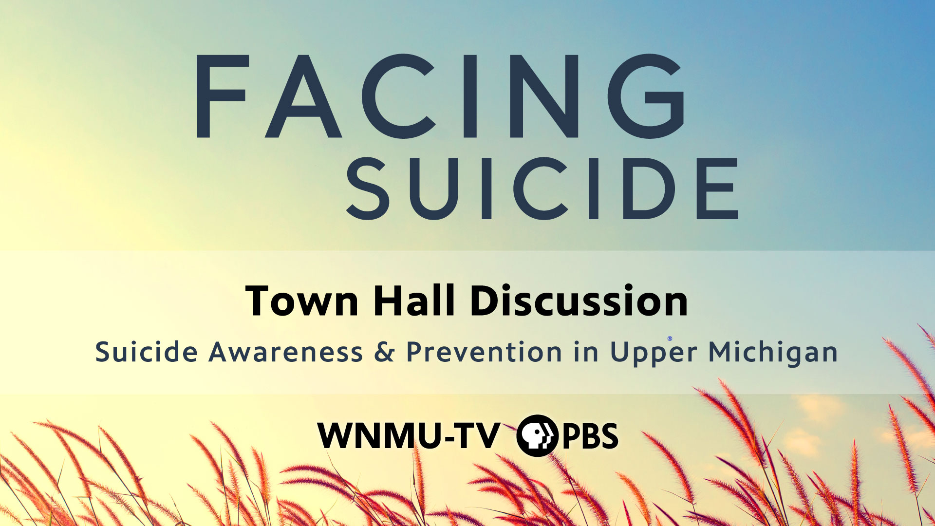 Facing Suicide: A Town Hall Discussion