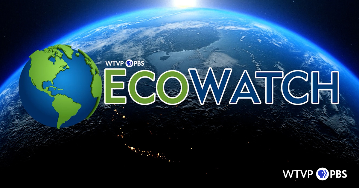 EcoWatch | May 2025