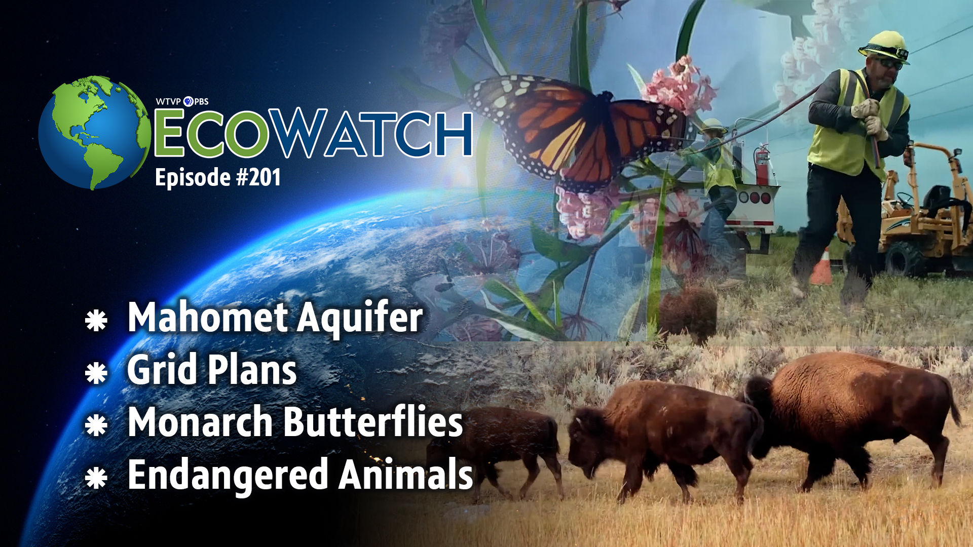 EcoWatch | February 2025