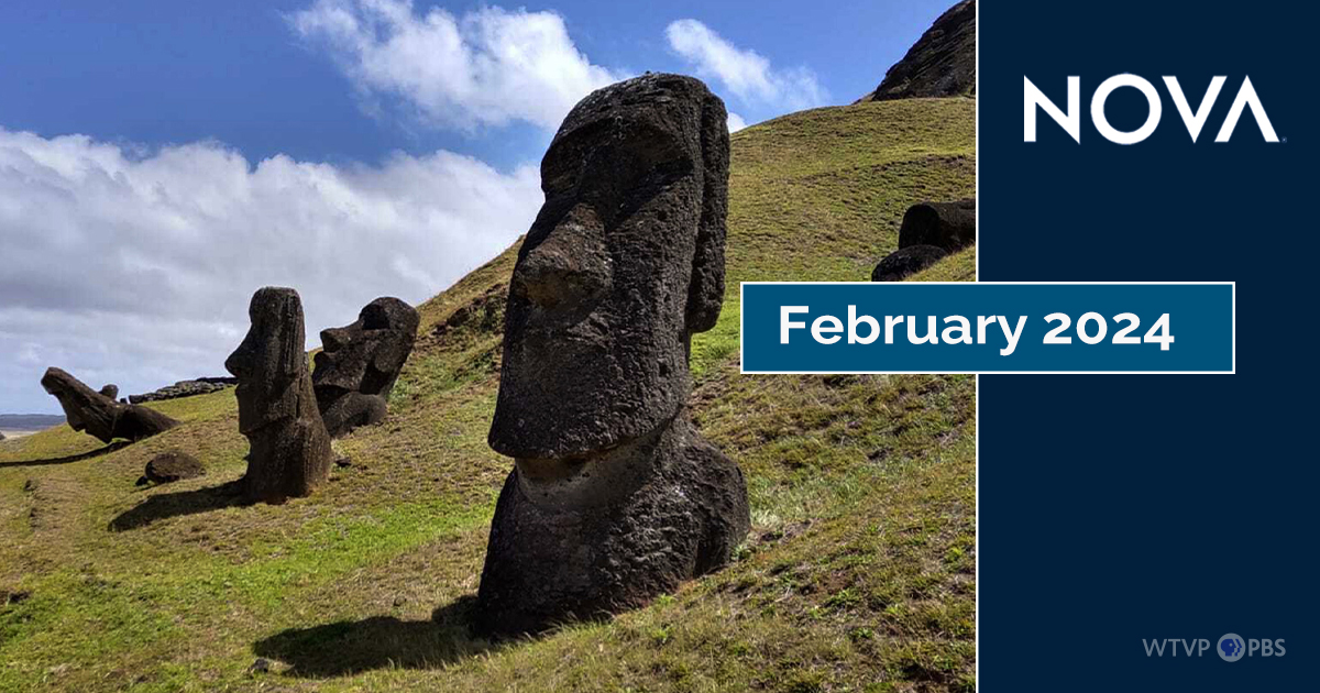 NOVA | February 2024