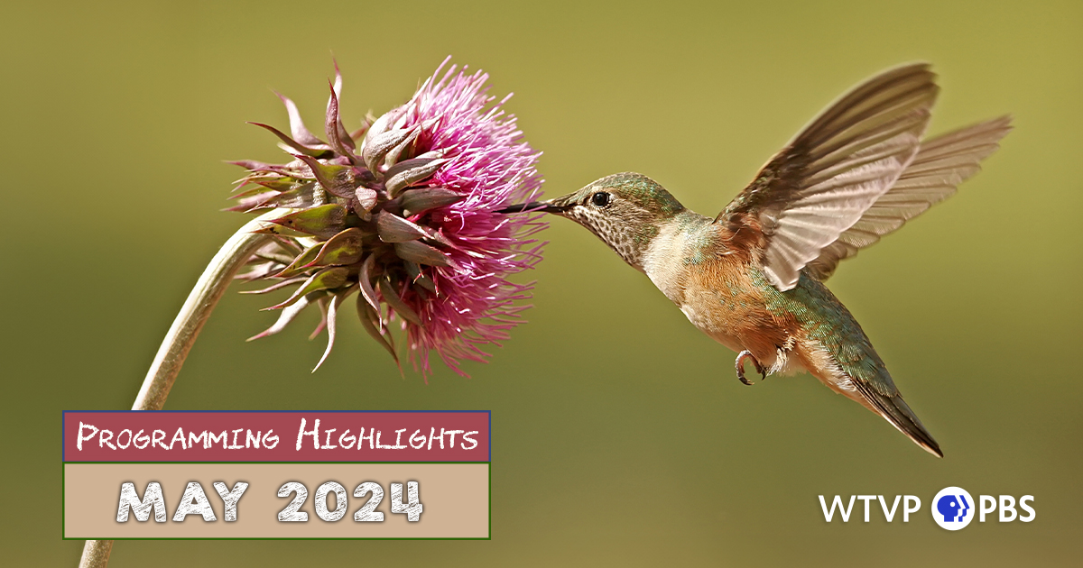 Programming Highlights | May 2024